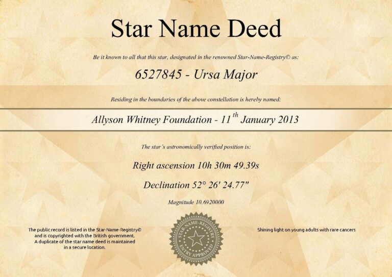 Allyson Whitney Foundation - A Literal Star in the Sky - Allyson ...